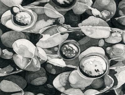 Snow Farm: The New England Craft Program